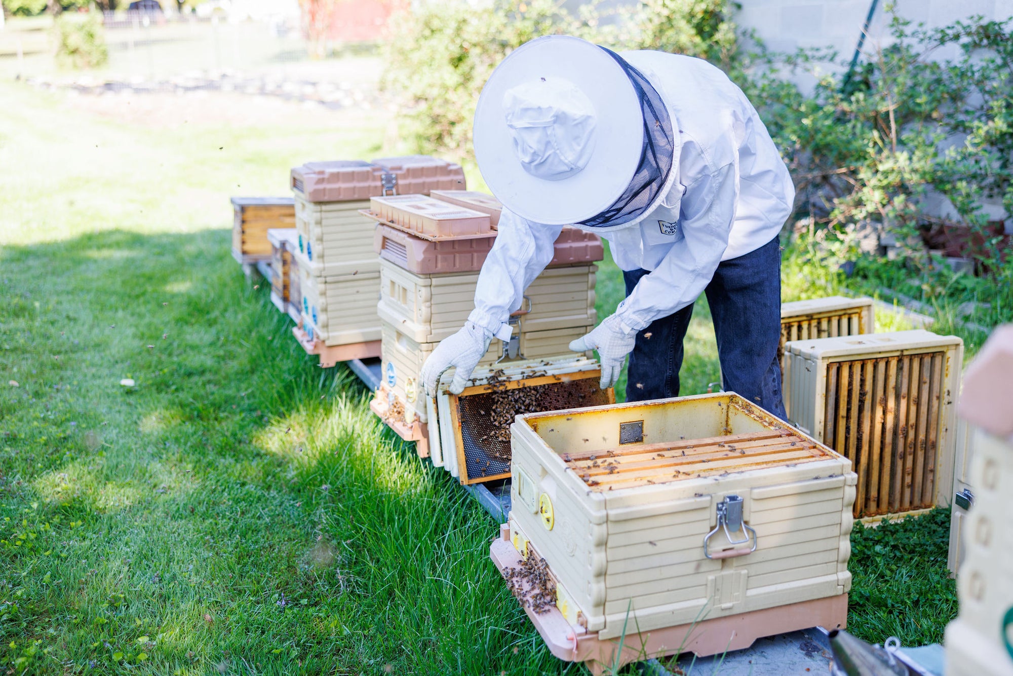 Innovative Beekeeping Gear | Precision-Engineered Solutions – Lorob ...