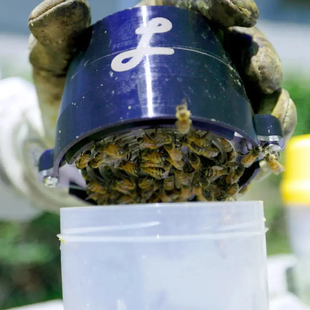 Mite Washing / Sampling