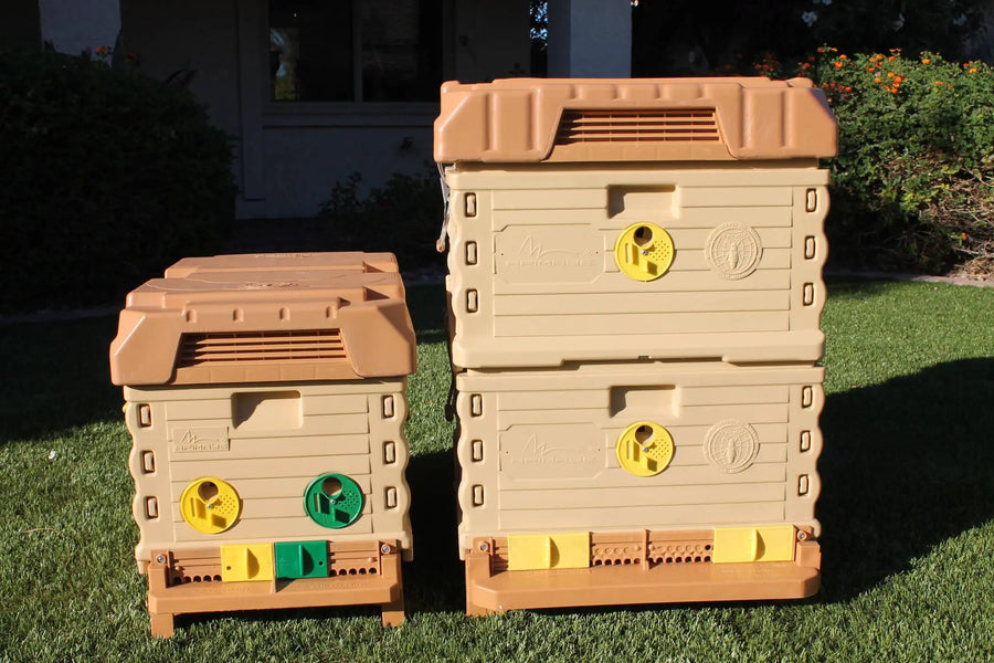 7 Frame NUC Bee Hive Set - Lorob Bees LLC